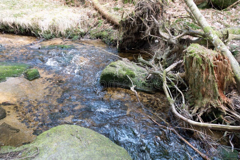 Pure Water Stream in Forest Stock Photo - Image of flow, long: 179372718