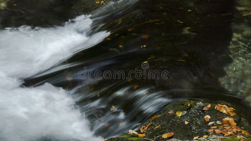 Pure waterflow stock photo. Image of foliage, autumn - 86259086