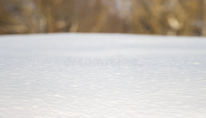 Pure White Snow Covered the Ground Stock Image - Image of ground ...