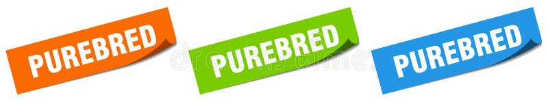 Purebred Banner. Purebred Speech Bubble Label Set. Stock Vector ...