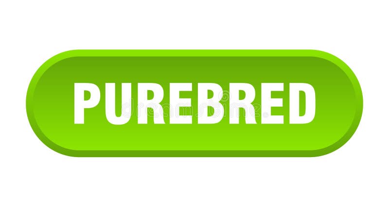 Purebred button stock vector. Illustration of template - 196848041