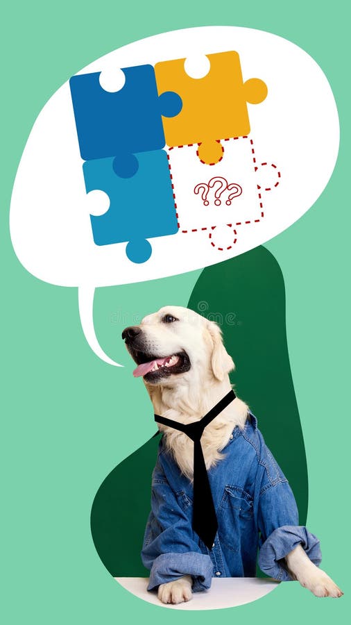 Purebred Positive Dog in Shirt Working on Tasks, Connecting Puzzles and ...