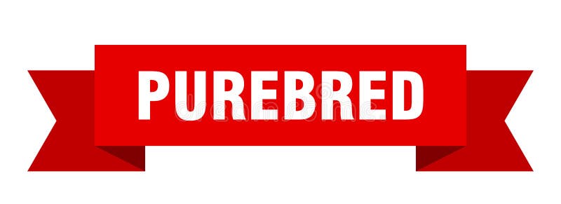 Purebred ribbon. stock vector. Illustration of vector - 191261774