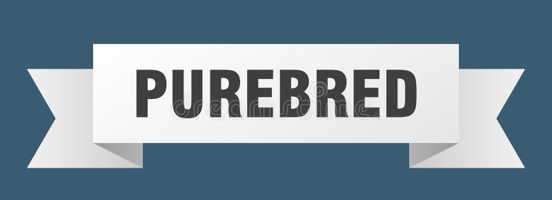 Purebred ribbon. stock vector. Illustration of sign - 191264683