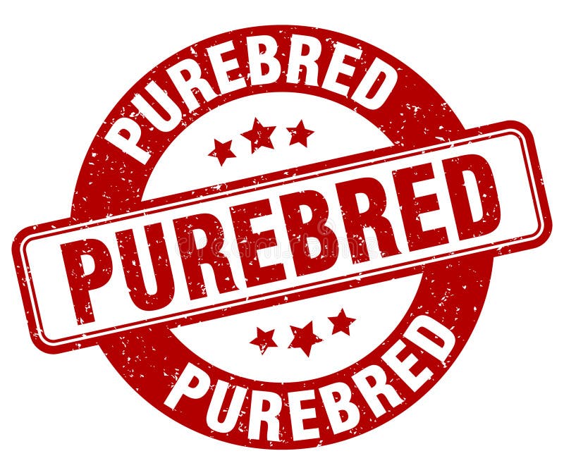 Purebred Stamp. Purebred Label. Round Grunge Sign Stock Vector ...