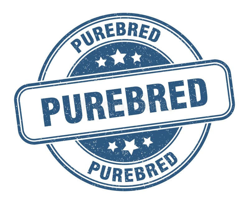 Purebred Stamp. Purebred Round Grunge Sign Stock Vector - Illustration ...