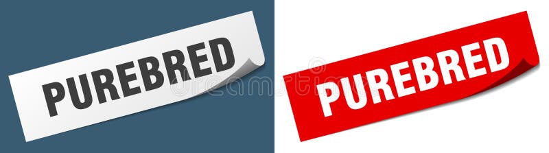 Purebred Sticker. Purebred Sign Set Stock Vector - Illustration of ...