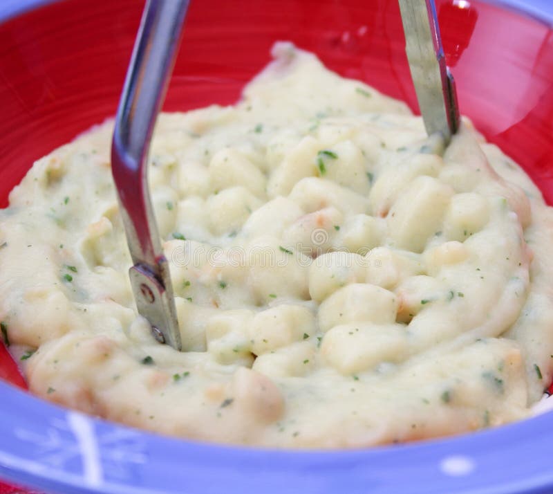 Puree of potatoes stock photo. Image of lunch, meal, dinner - 37203662