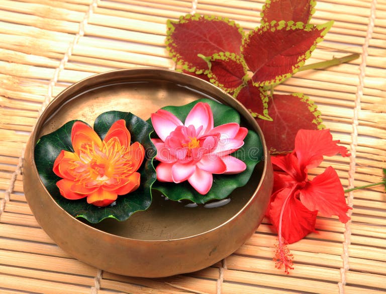 Pureza del alma foto de archivo. Imagen de relaje, ashram - 16655718