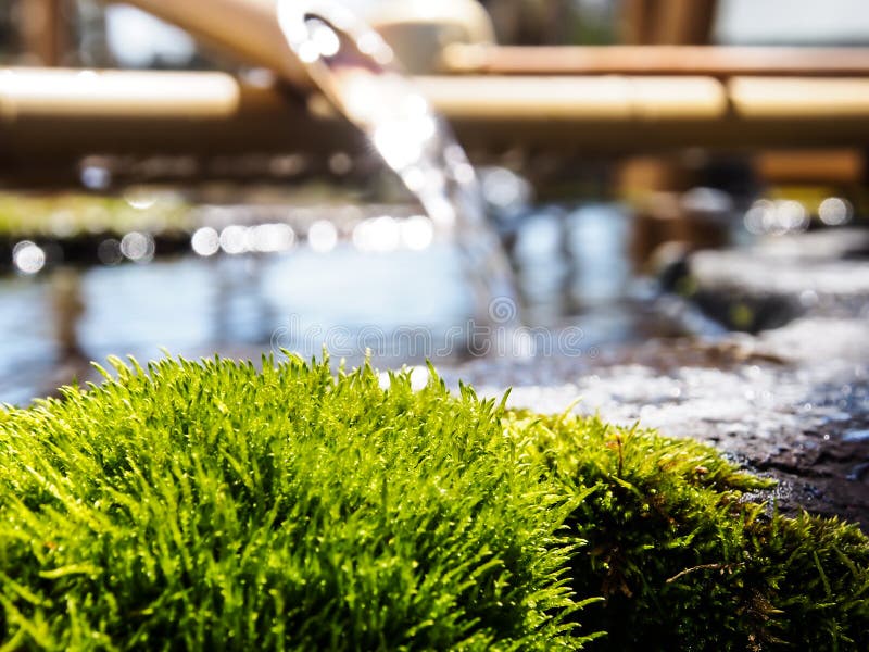 Purification Fountain in Japanese Shrine Stock Image - Image of ...