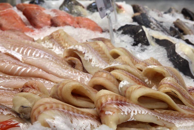 Purified cod on ice. stock photo. Image of shop, sale - 108268456