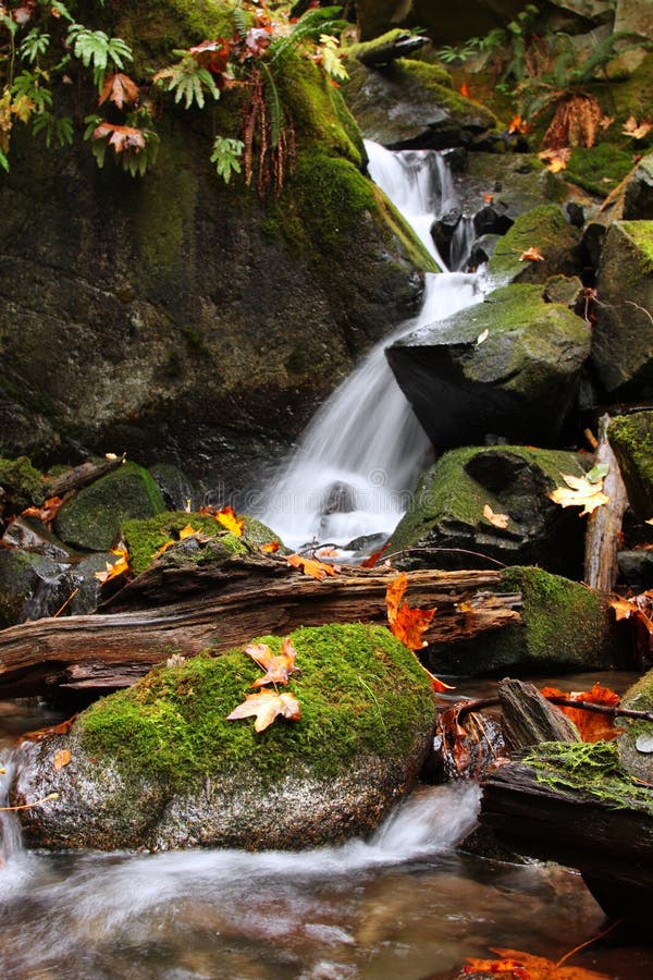 Purity Picture. Image: 6899495