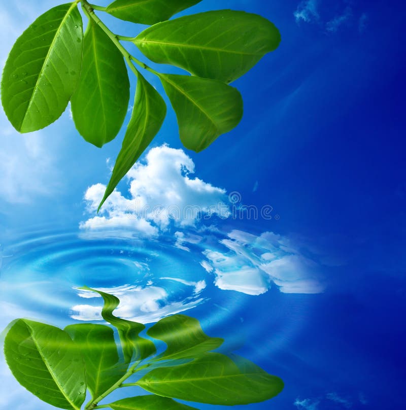 Purity background stock image. Image of growth, green - 13886593