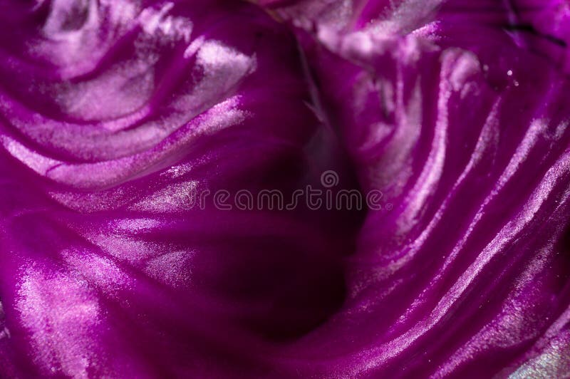 Purple Abstract Background of Organic Texture Stock Photo - Image of ...