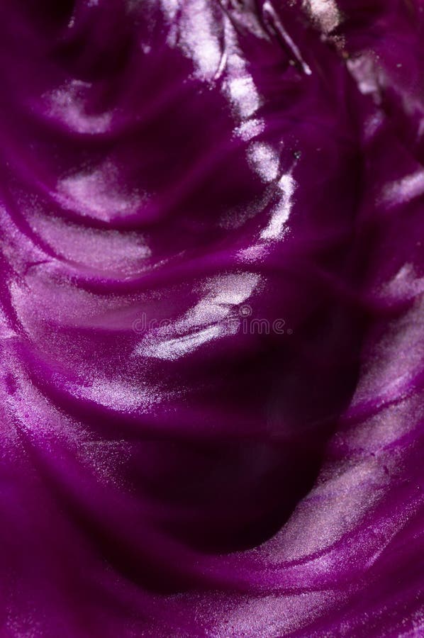 Purple Abstract Background of Organic Texture Stock Photo - Image of ...