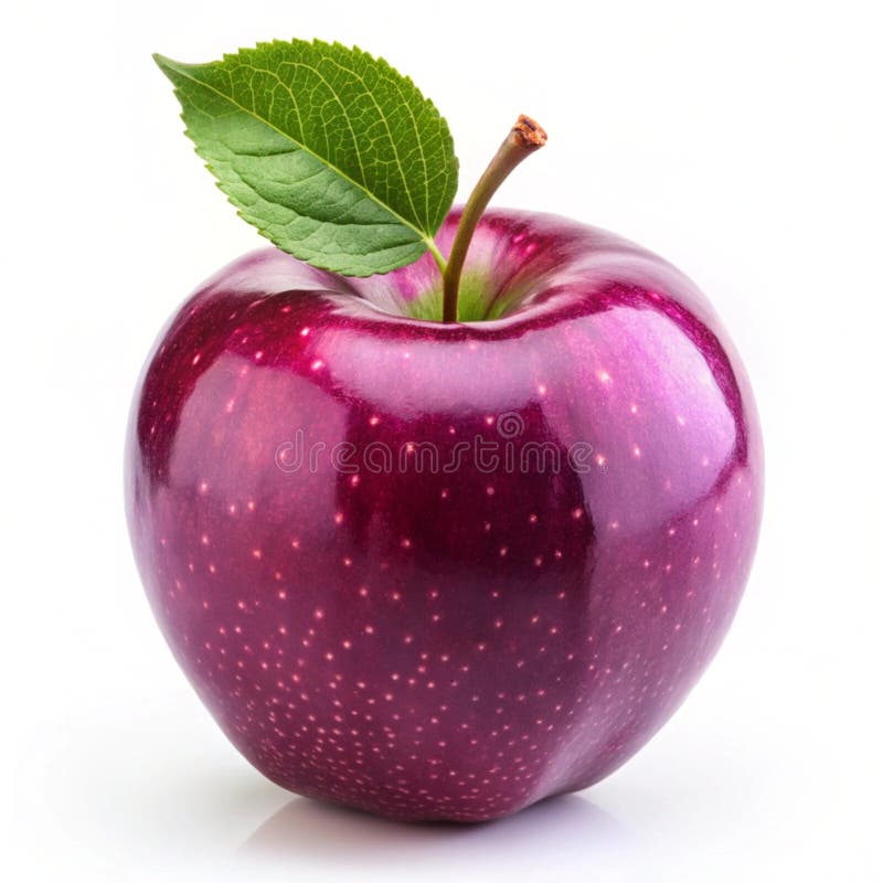 Purple Apple with a Green Leaf Isolated Stock Illustration ...