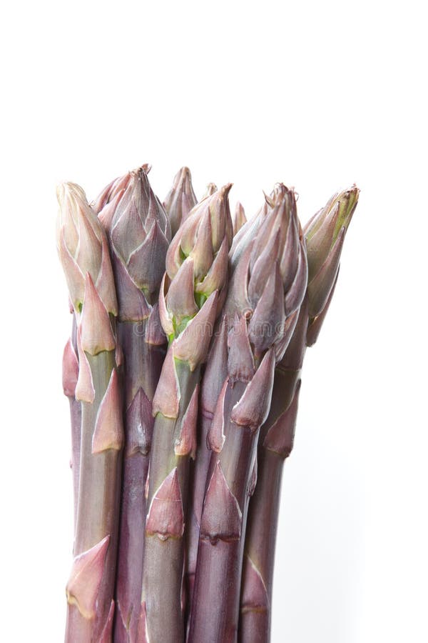 Purple Asparagus stock photo. Image of green, healthy - 19725590