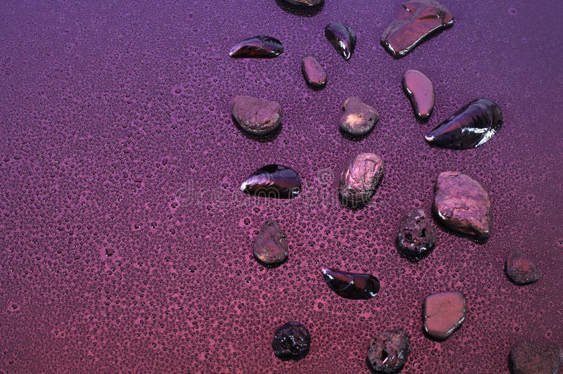 Purple Background with Drops, Shells, Stones Stock Photo - Image of ...