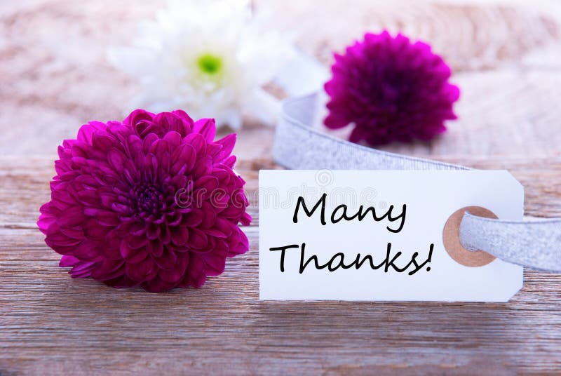 Purple Background with Many Thanks Stock Photo - Image of board ...