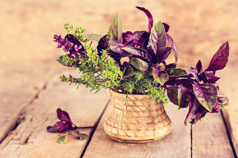 Purple Basil on an Old Wooden Background Stock Image - Image of fresh ...