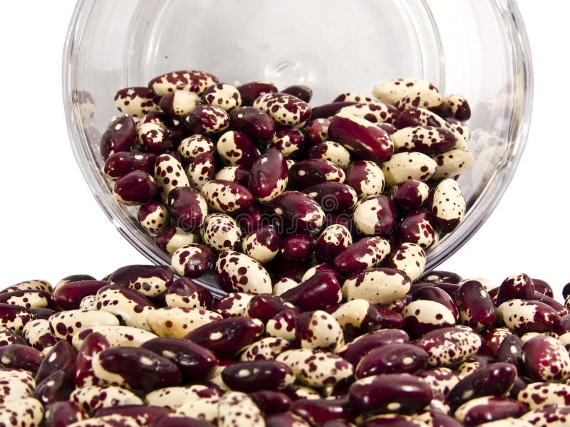 Two young bean stems stock photo. Image of environmental - 17413074