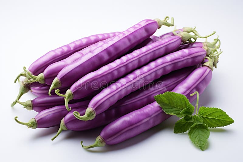 Purple Bean on White Background Stock Illustration - Illustration of ...