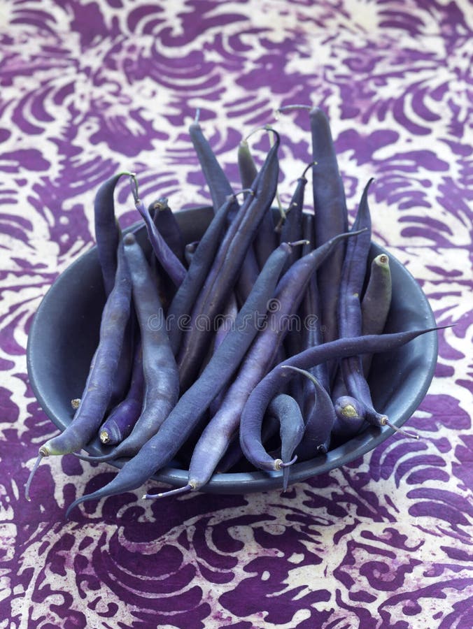 Purple beans stock photo. Image of selective, bean, violet - 23705944