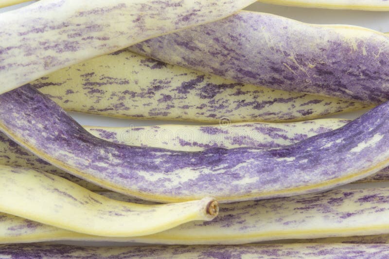 Purple beans closeup stock photo. Image of yellow, green - 56748660