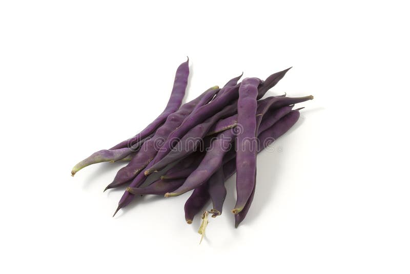 Purple beans stock photo. Image of food, white, bunch - 79739400