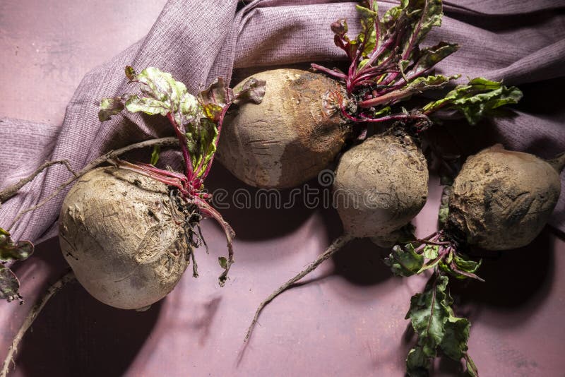 Purple Beetroot at the Table Stock Photo - Image of beet, diet: 257866312