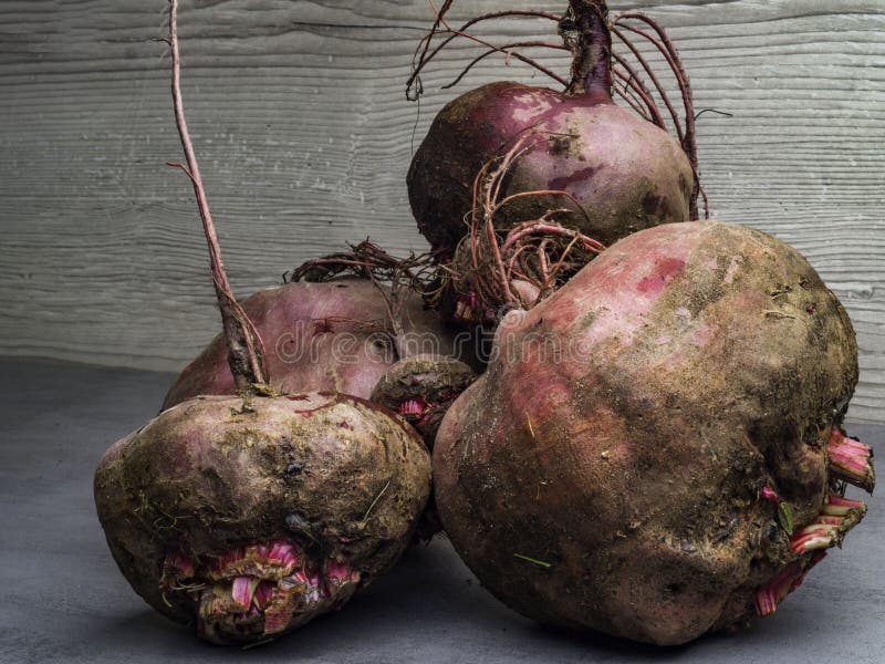 The Purple Beets Roots on Grey Concrete Table Stock Photo - Image of ...
