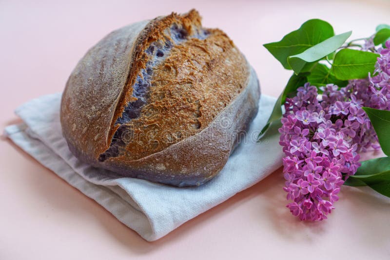 Purple Bread - Sourdough Bread Stock Photo - Image of sweet, hand ...