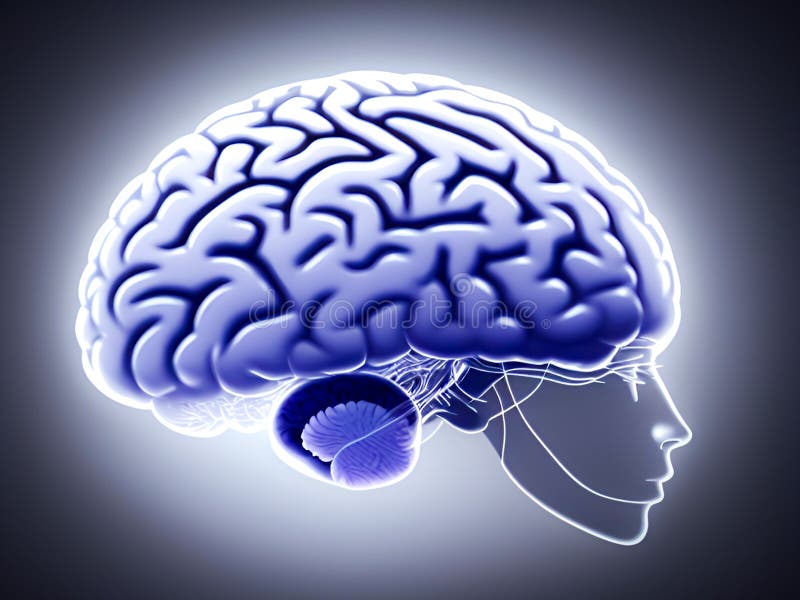 Ai Brian Stock Illustrations – 43 Ai Brian Stock Illustrations, Vectors ...