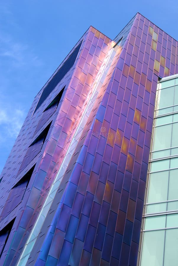 Purple Stary Night Sky Over Forest and Lake Stock Photo - Image of ...