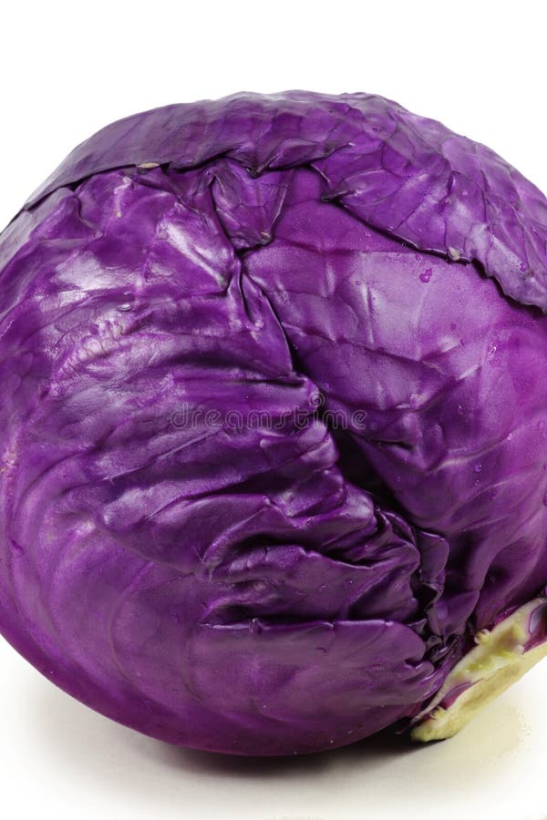 Purple cabbage stock image. Image of closeup, natural - 13259369