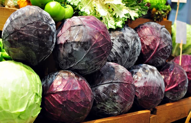 Purple Cabbage stock image. Image of stack, plant, purple - 27586561