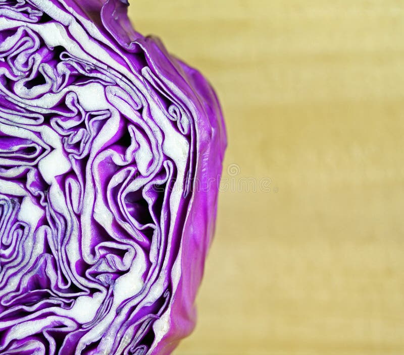 Purple Cabbage stock photo. Image of vegan, organic, farm - 70297696