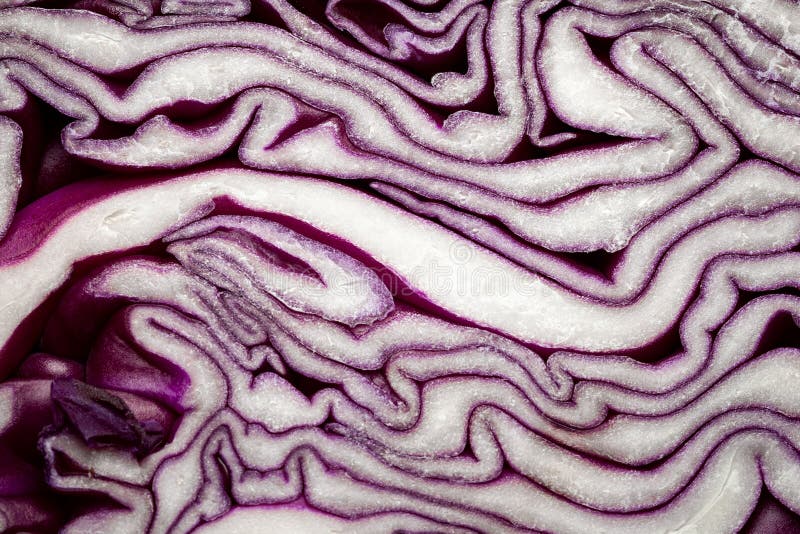 Purple Cabbage Full Frame Cross Section Macro Texture Stock Photos ...