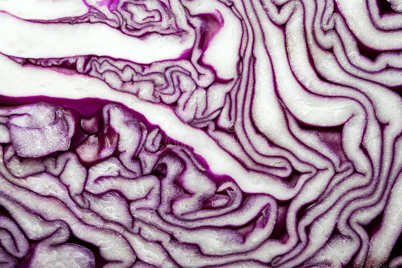 Purple Cabbage. Full Frame Cabbage in Section. Cabbage Texture Stock ...