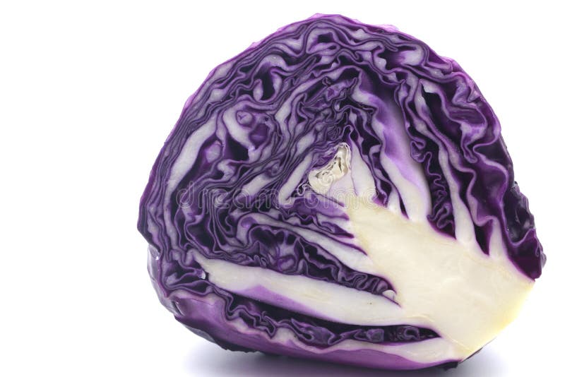 Purple cabbage stock photo. Image of organic, vegetable - 101321406