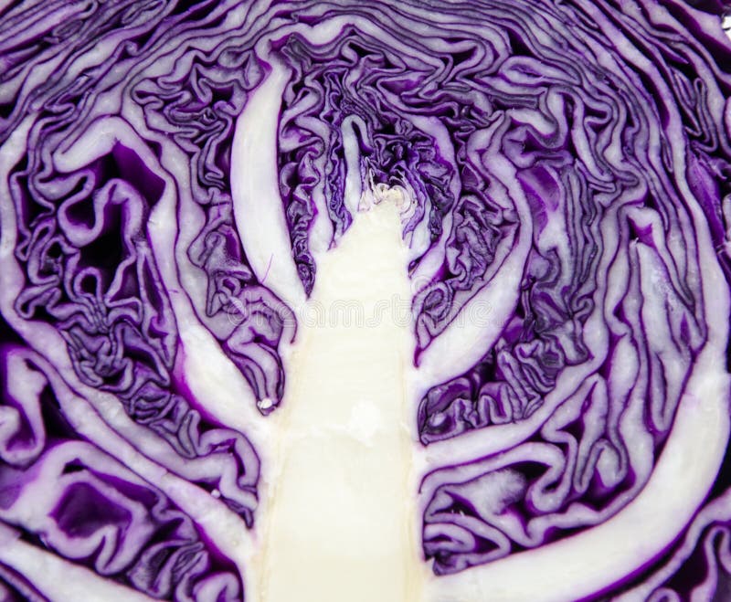 Purple Cabbage Internal Texture Stock Image - Image of green, food ...