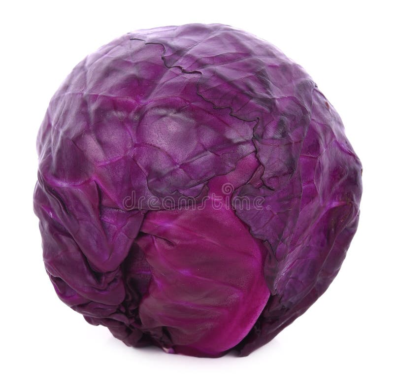 Purple Cabbage Isolated on White Background Stock Image - Image of ...