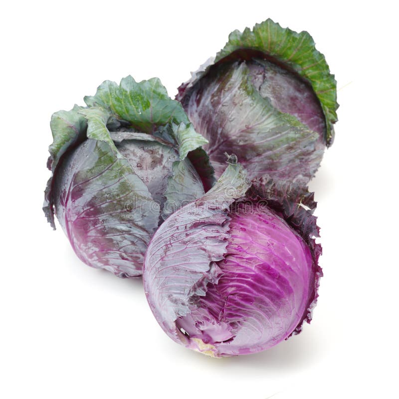 Purple cabbage stock photo. Image of healthy, colorful - 132145466