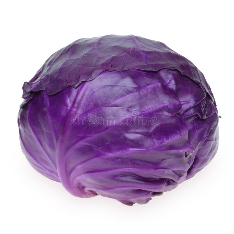 Purple Cabbage in a White Background Stock Image - Image of healthy ...
