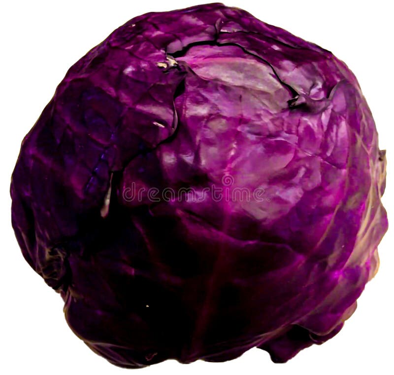 Purple Cabbage Purple Vegetables Vegetables Stock Image - Image of ...