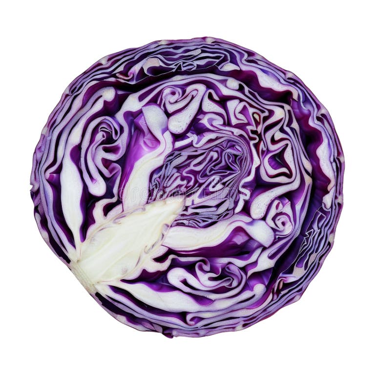 Purple Cabbage Slice on Transparent Background - Ai Generated Stock ...