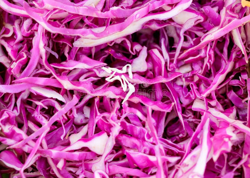 Purple Cabbage Sliced Pattern Stock Image - Image of dieting, cooking ...