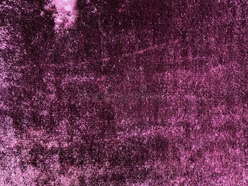 Purple Carpet. Background or Texture. Stock Image - Image of retro ...