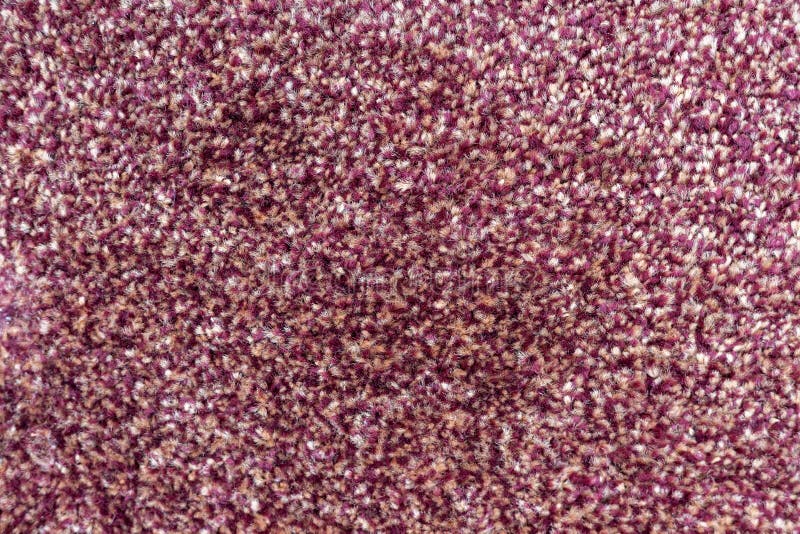 Purple Carpet Texture Background Closeup View Stock Image - Image of ...