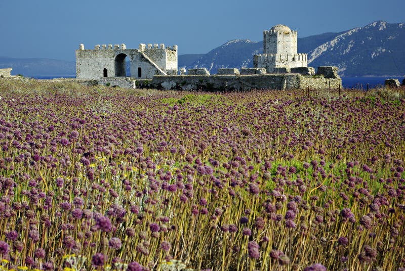 Purple Castle stock image. Image of grass, petal, floral - 19258855